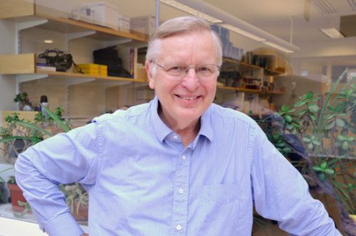 PATRICK WINSTON - Michael Dukakis Institute for Leadership and ...